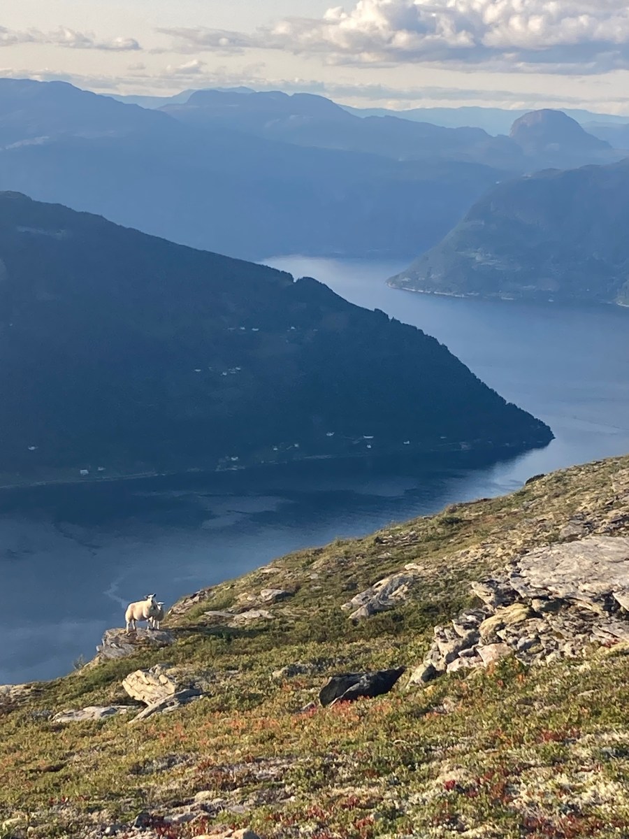 Wild Camping in Norway – Home Far Away From Home